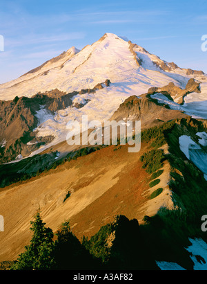 Usa, Washington State, Red Mountain. Woman picks Cabernet Sauvignon ...