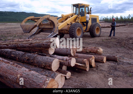 A Front-end Loader sorting Logs near Port Renfrew on Vancouver Island ...