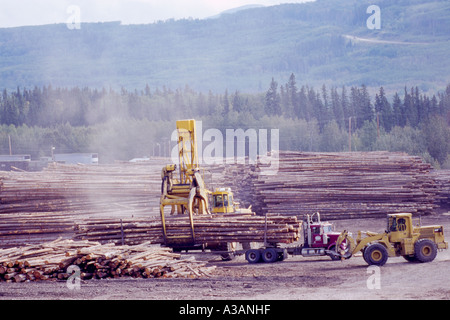 A Log Picker unloading Logs at a Log Yard at Beaver Cove on Vancouver ...