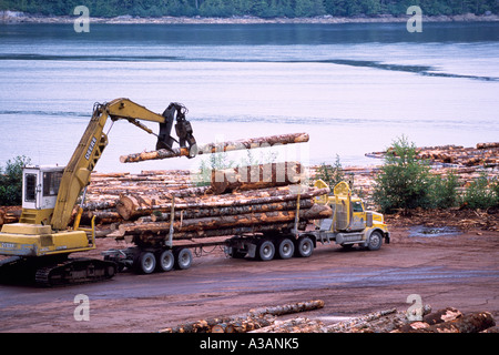 A Log Picker unloading Logs at a Log Yard at Beaver Cove on Vancouver ...