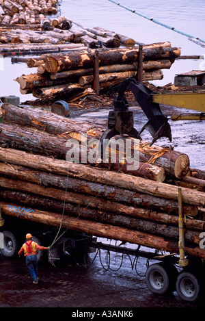 A Log Picker unloading Logs at a Log Yard at Beaver Cove on Vancouver ...