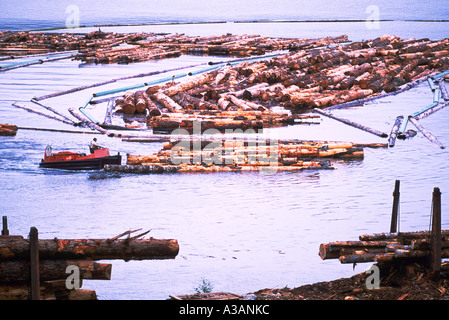 A Sidewinder sorting Logs into Booms at Beaver Cove Log Dump near ...