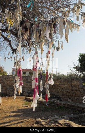 Healing Tree. “St Solomon's Catacombs” Paphos Cyprus Stock Photo - Alamy