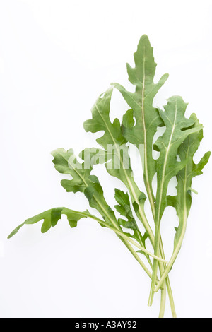Rocket lettuce leaves Stock Photo - Alamy