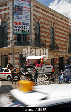 Horse and Carriage Taxi, Merida, Yucatan Peninsular, Mexico Stock Photo ...