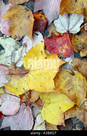 The center of Nelson, New Hampshire Stock Photo - Alamy