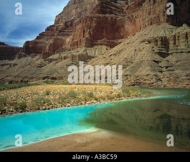 Confluence of the Little Colorado and Colorado Rivers, Grand Canyon ...