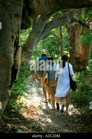 Sydney harbour national park, walking track to North Head from Shelly ...
