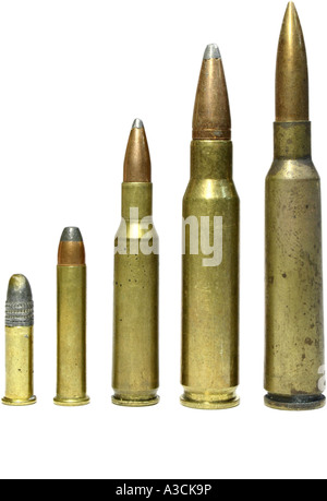 Line of cartridges in increasing sizes Stock Photo - Alamy