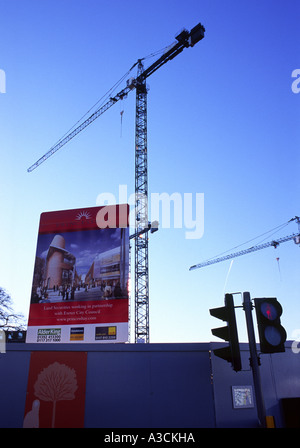 Cranes, Exeter, Devon Stock Photo - Alamy