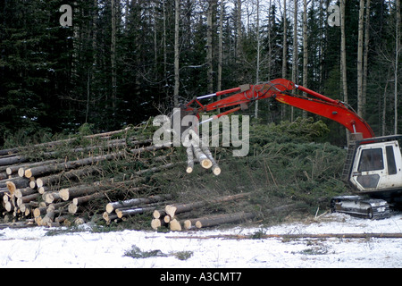 Logging industry; Loader backhoe Stock Photo - Alamy