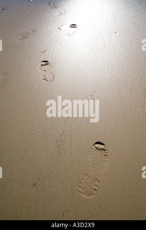Boot print in soft mud in field. Dorset, UK Stock Photo - Alamy