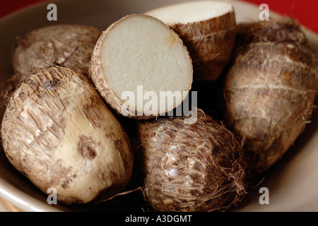 Eddoes caribbean root vegetable related to dasheen Stock Photo - Alamy
