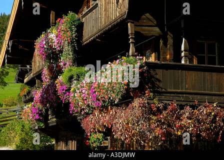 Austria Tyrol house old rustic detail windows flower-boxes geraniums ...
