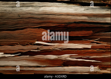 Close up view of an old, weathered light-colored brick wall with dirty ...