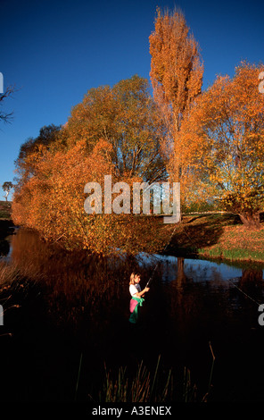 Fly fishing for trout Delatite River near Mansfield Victorian Alps NE ...