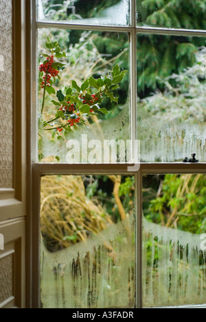 Condensation on double glazed wooden windows due to cold bridging, UK ...