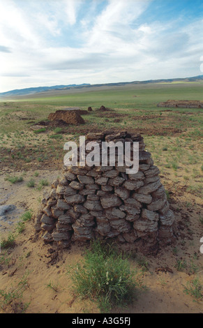 Argal (fuel made of dung). Altan Els Desert (Boorog Deliin Els Desert ...