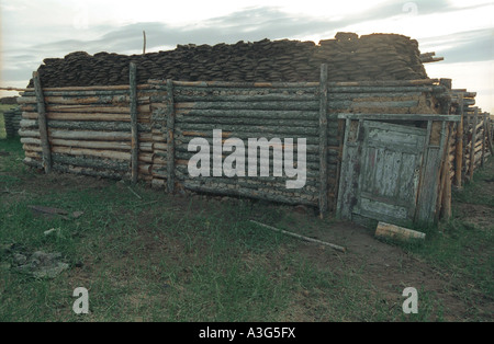 Argal (fuel made of dung). Altan Els Desert (Boorog Deliin Els Desert ...