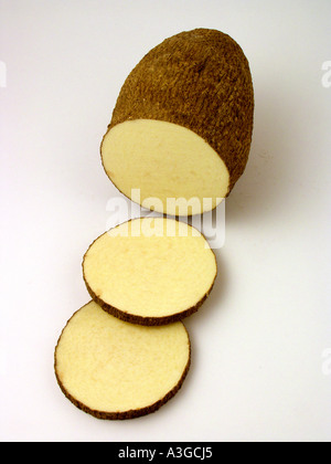 African white yam plants (Dioscorea rotundata) growing on plantation ...