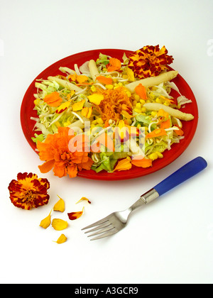 Marigolds salad Tagetes hybr. Recipe available Stock Photo - Alamy