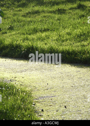 detail of dramatically lit path Stock Photo - Alamy