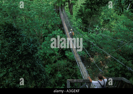 Tourists using the Canopy Walkway in the village of Falealupo Savaii ...