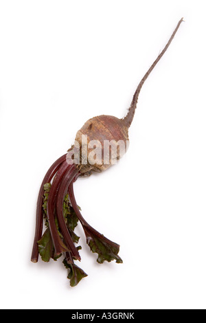 Beetroot or beets isolated on a white studio background Stock Photo - Alamy