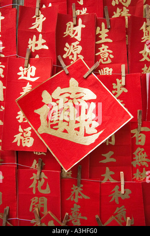 Traditional Red and gold banners sold during Chinese Lunar New Year ...