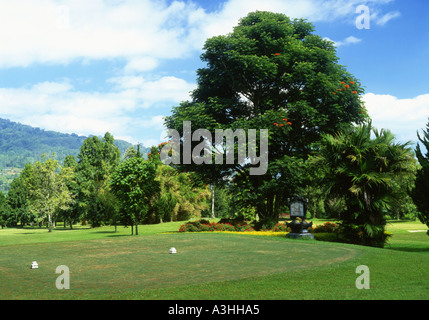 immaculate green at the handara kosaido country golf club pencasari ...