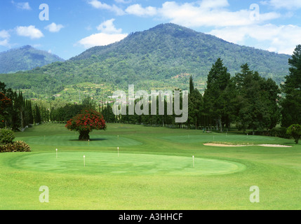 immaculate green at the handara kosaido country golf club pencasari ...