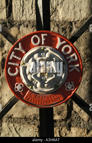 The white rose symbol of the house of York, the city of York, and Stock ...