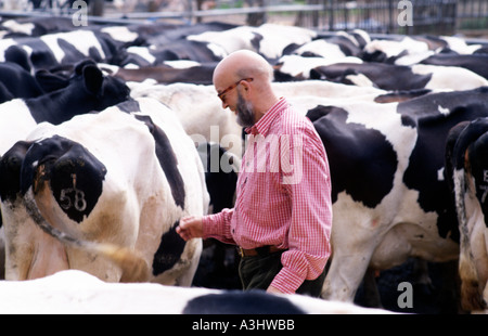 Michael Eavis on his diary farm with his cows Glastonbury festival ...