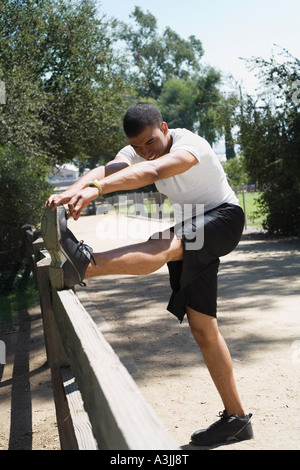 A Lone Tree and a Fence Stand Out On a Misty Morning In This View ...