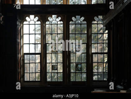 Stained glass window in Bodleian Library, Oxford Stock Photo - Alamy