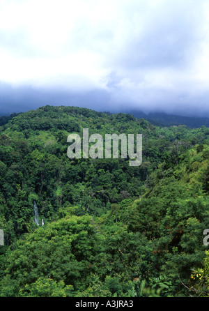 Cloud shrouded jungle on mountain ridge near Karangetang volcano on ...