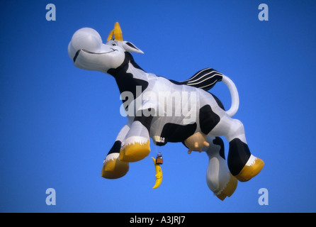 "Cow" hot air balloon in flight, Albuquerque International Balloon ...