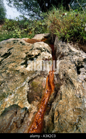 Micina Travertine Mineral Spring, Slovakia Stock Photo - Alamy