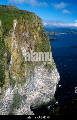 Cliffs at Runde bird colony, Norway Stock Photo - Alamy