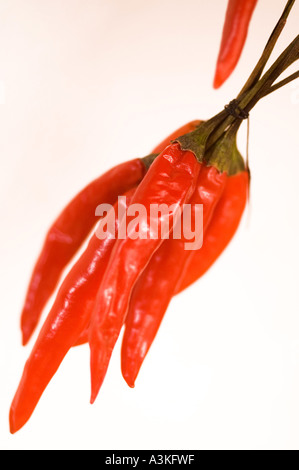 Hot chili paprika pepper hanged on a string for drying Stock Photo - Alamy