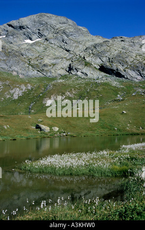 Refuge de veran Stock Photo - Alamy