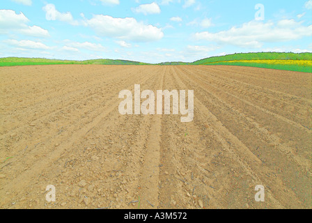 nature art tracs on the ground on an empty field Stock Photo - Alamy