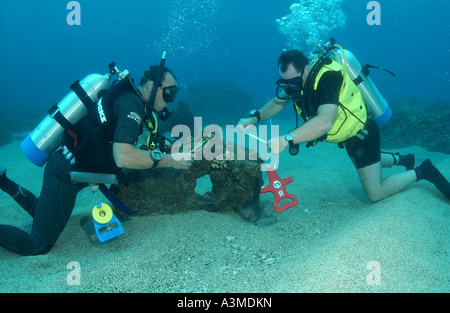diver on wreck of Cornwallis Stock Photo - Alamy