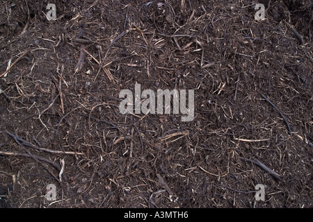 Close up of graded commercial compost or humus showing crumbly texture ...