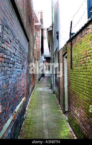 John Robinson pastor Pilgrim Fathers Pilgrims Father Leiden Mayflower ...