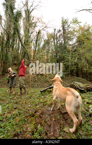 game keeper retrieving birds Stock Photo - Alamy