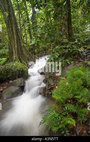 Waterfall Moorea French polynesia Stock Photo - Alamy