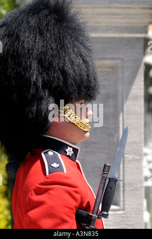 Ceremonial Guards in front of Rideau Hall entrance Stock Photo - Alamy