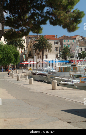 Bar and palm trees by the water, Vis, Vis, Split-Dalmatia, Croatia ...