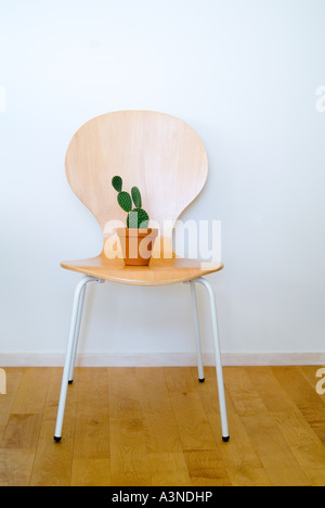 still life of potted cactus on purple arm chair Stock Photo - Alamy